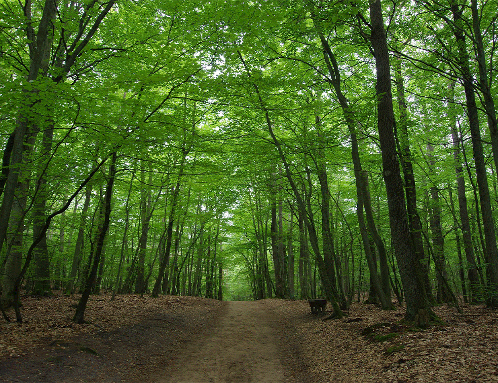 Agroinfo | Medijski portal