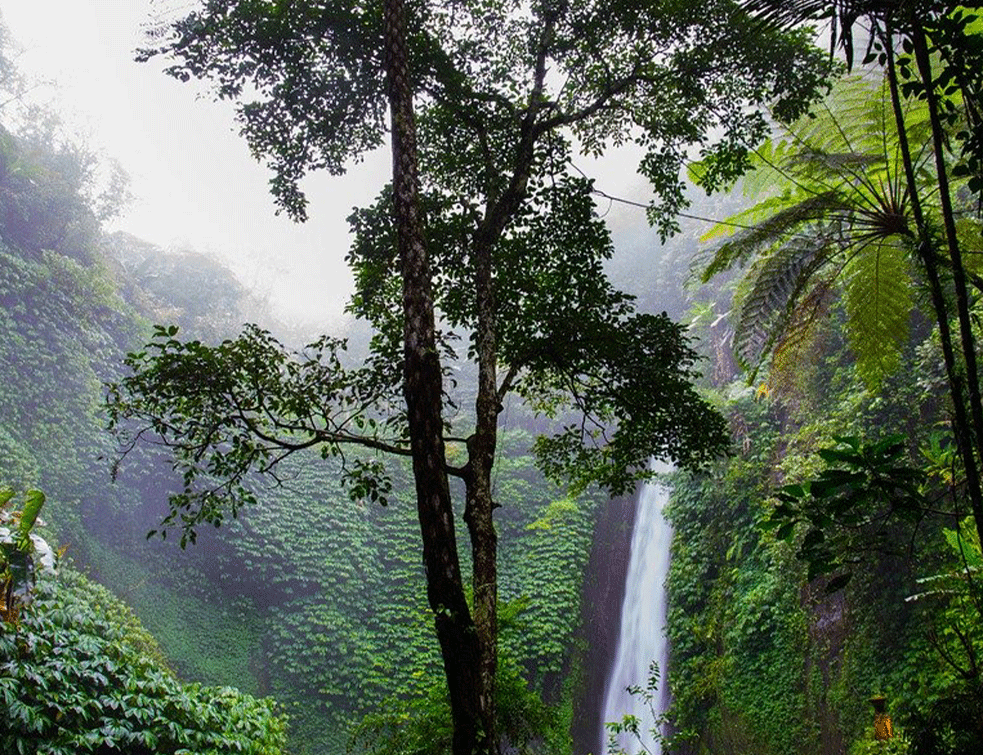 Agroinfo | Medijski portal