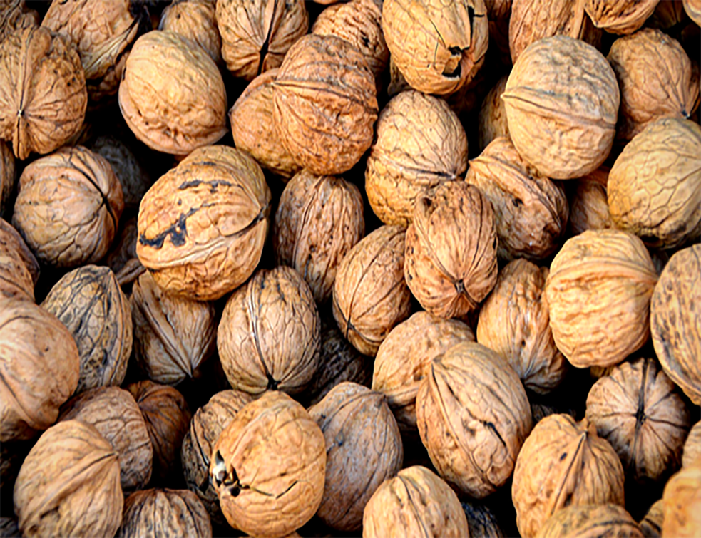 Agroinfo | Medijski portal