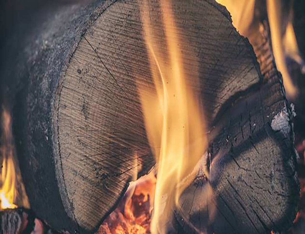 Agroinfo | Medijski portal