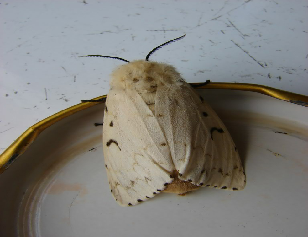 Agroinfo | Medijski portal