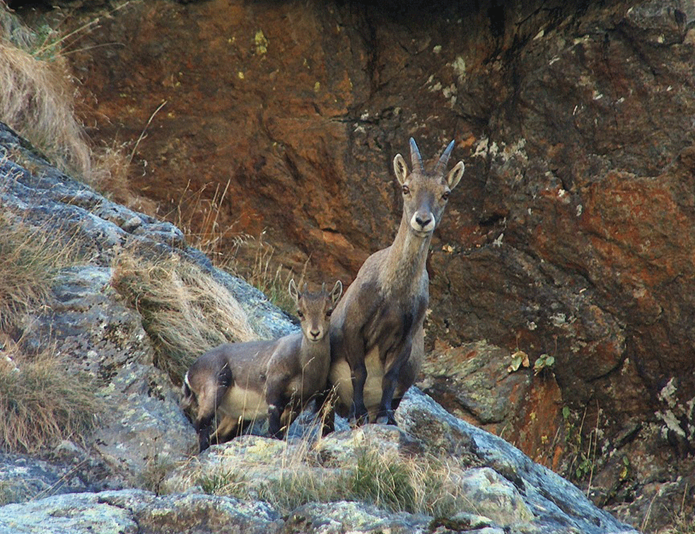 Agroinfo | Medijski portal