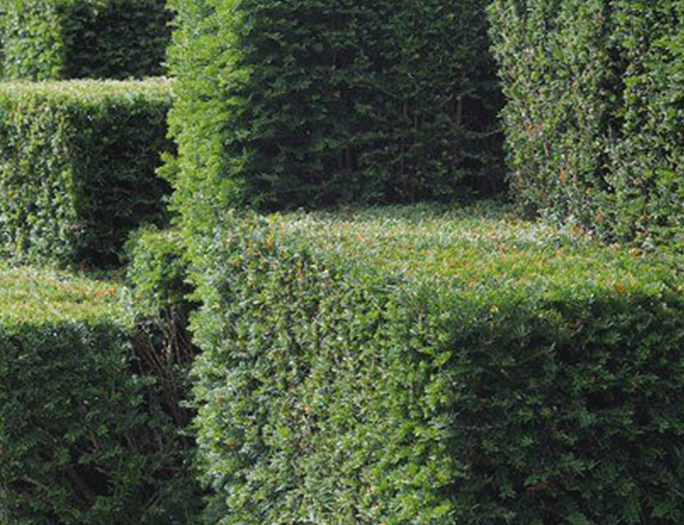 Agroinfo | Medijski portal