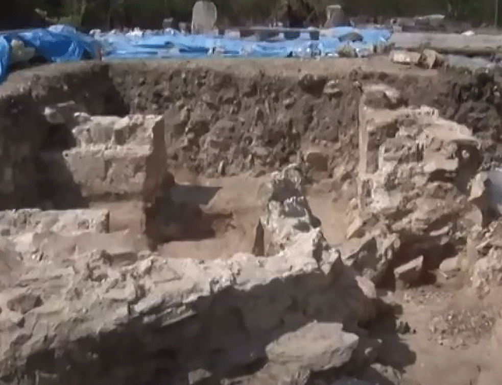 Agroinfo | Medijski portal