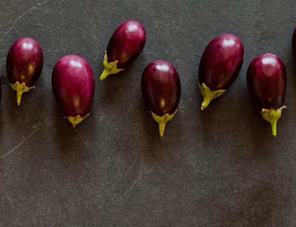 Agroinfo | Medijski portal